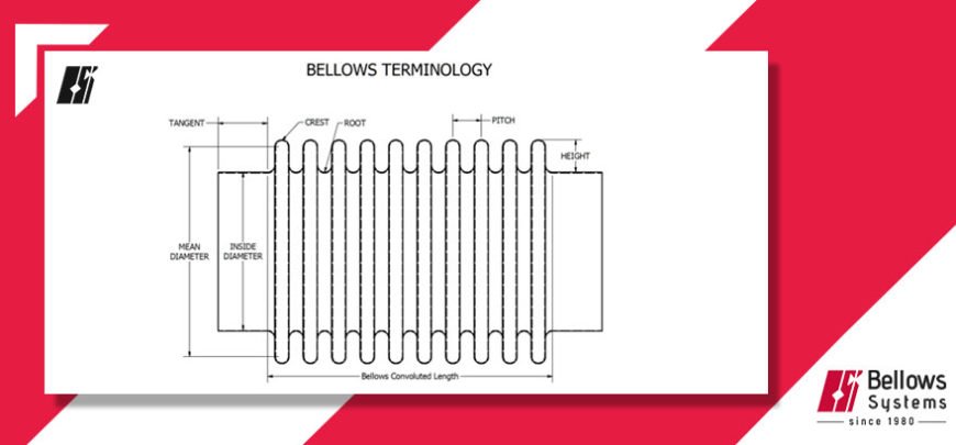 What is ROOT and CREST in Bellows Terminology? - Bellows Systems